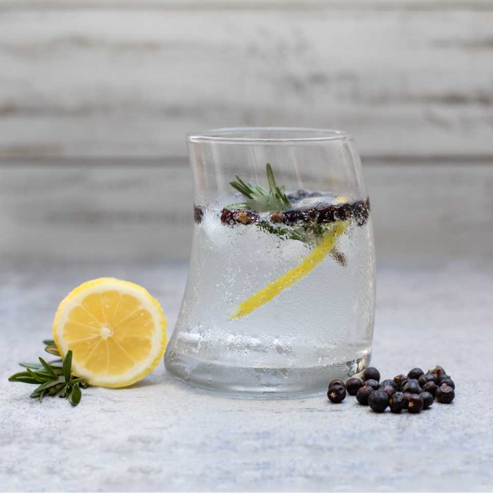 Classic Cape Dry G&T – The Curious Spirit