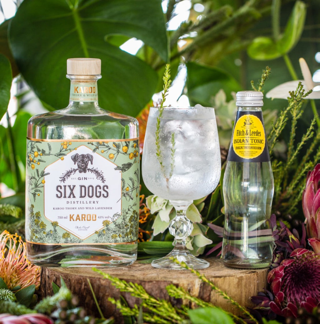Six Dogs Karoo Lemon Buchu – The Curious Spirit