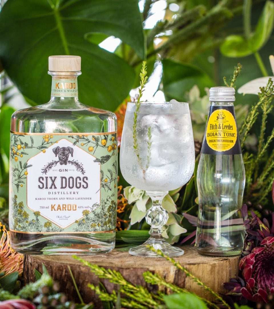 Six Dogs Karoo Lemon Buchu – The Curious Spirit